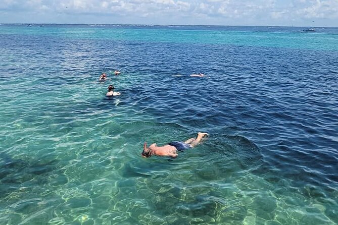 Family-Friendly Snorkeling and Dolphin Tour from FWB - Practical Tips for Your Trip