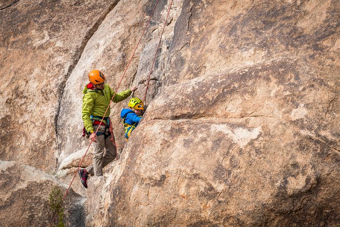 Family Rock Climbing Trips in Joshua Tree National Park (4 Hours) - Why This Tour Works for Families