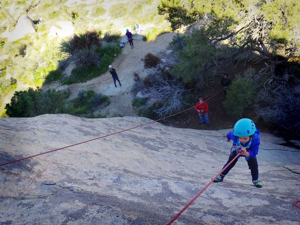 Family Rock Climbing Trips in Joshua Tree National Park (4 Hours) - Practical Details at a Glance