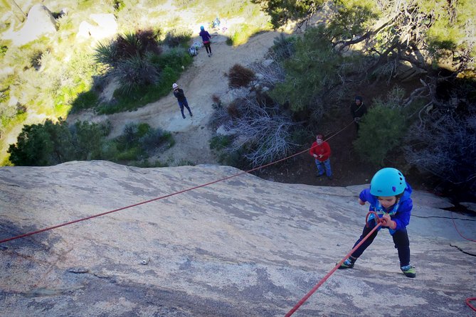 Family Rock Climbing Trips in Joshua Tree National Park (6 Hours) - Who Would Love This Tour?