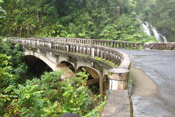 Famous Road to Hana Waterfalls, Black Sand Beach & Lunch - Pricing and Overall Value