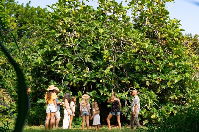 Farm and Food Experience in Kilauea - Authentic Experiences and Authenticity