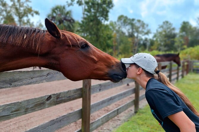 Farm Experience with Ponies, Bunnies, Chickens and Goats - Who Will Love This Experience?