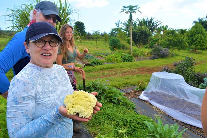 Farm to Table Cooking Class at Kulaniapia Falls - Farm to Table Cooking Class at Kulaniapia Falls: A Genuine Taste of Hawaii’s Bounty