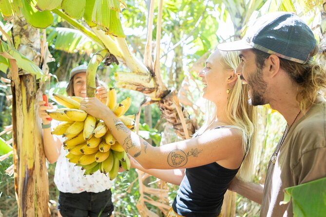Farm to Taco: A Farm to Table Cooking Class - A Culinary Journey on Maui with Farm to Table