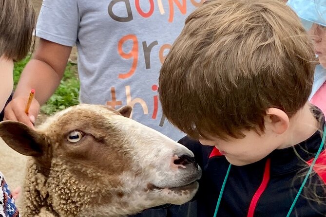 Farm Tour at Clover Brooke Llama/Alpaca/Goat Farm - What to Expect from the Farm Tour