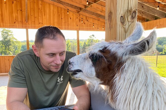 Farm Tour at Clover Brooke Llama/Alpaca/Goat Farm - Practical Tips for Visiting