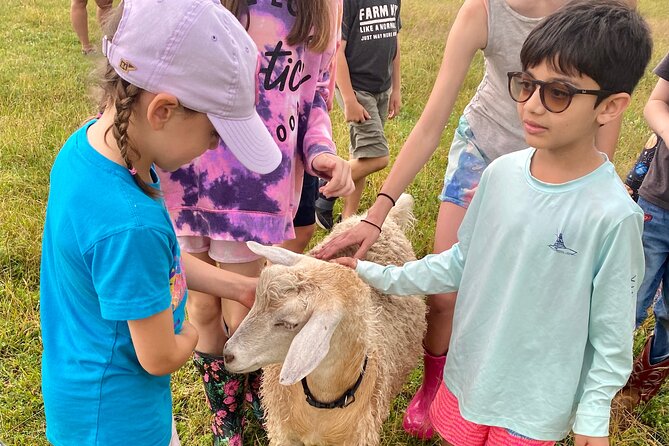 Farm Tour at Clover Brooke Llama/Alpaca/Goat Farm - Final Thoughts: Is It Worth It?