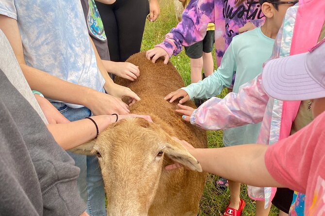 Farm Tour at Clover Brooke Llama/Alpaca/Goat Farm - Frequently Asked Questions (FAQs)