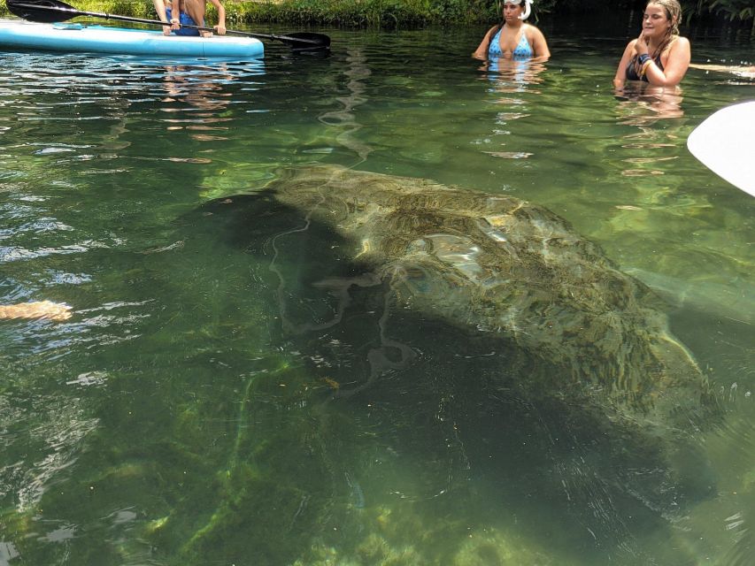 Fast and More 60 minute Airboat Tour on the Homosassa River - What to Expect During the Tour
