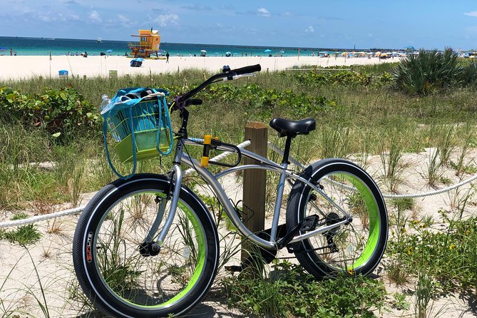 Fat Tire Bike Rental for Sand Riding - Authentic Experiences and Insights from Reviewers