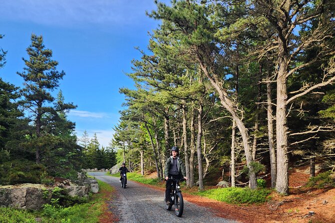 Fat Tire E-Bike Rental in Bar Harbor - Why This Experience Works