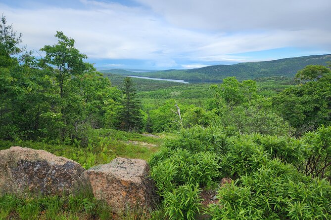 Fat Tire E-Bike Rental in Bar Harbor - Who Should Consider This Tour?