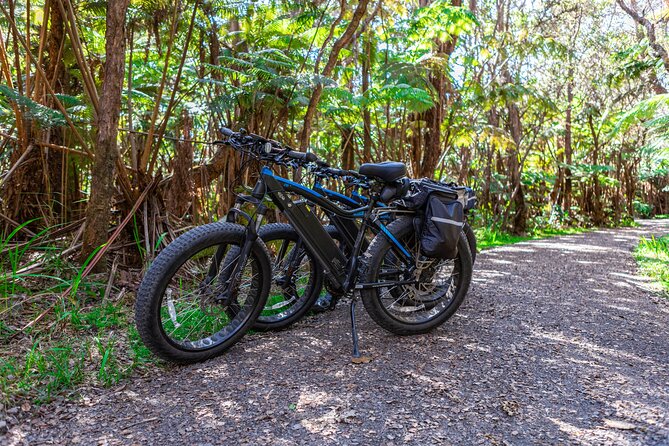 Fat Tire E-Bike Rental - Volcanoes National Park - Final Thoughts