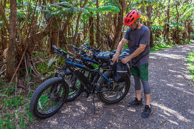 Fat Tire E-Bike Tour through Volcanoes National Park - A Day in the Park: The Itinerary Breakdown