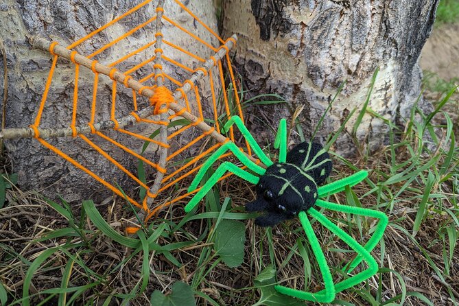 Felted Halloween Spider Art Class in Estes Park - Why This Experience Works