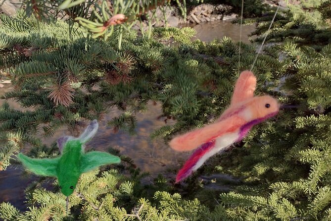 Felting Hummingbird Ornament Class in Estes Park - FAQs