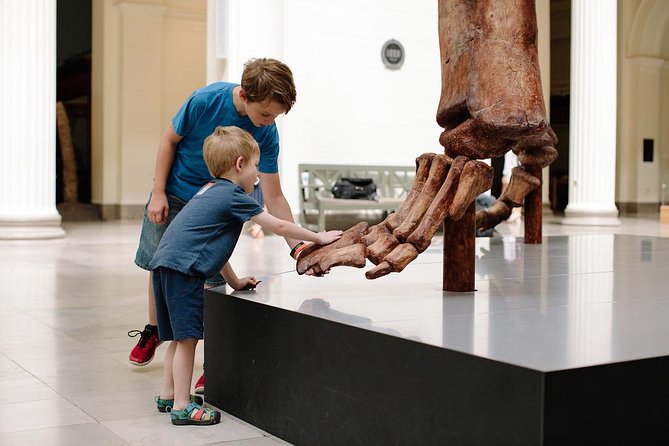 Field Museum of Natural History Admission Tickets - A Closer Look at the Museums Highlights
