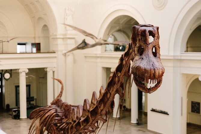 Field Museum of Natural History Early Access Ticket - A Closer Look at the Experience