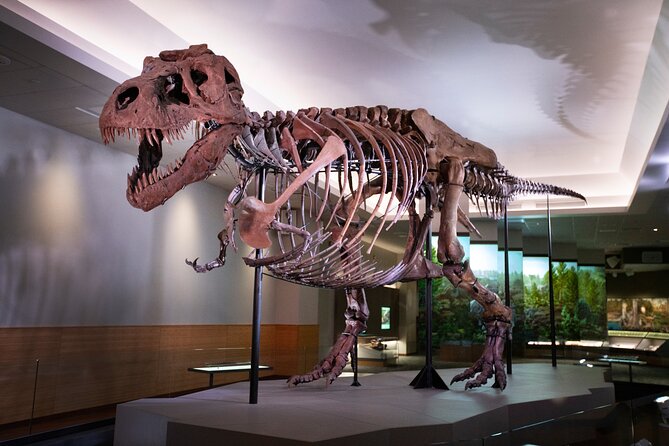 Field Museum of Natural History Early Access Ticket - FAQ