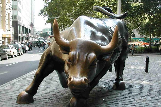Financial Crisis Tour with a Finance Professional - Guides and Experience