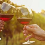 Fine Wining, Saturday - The Itinerary: A Carefully Curated Journey