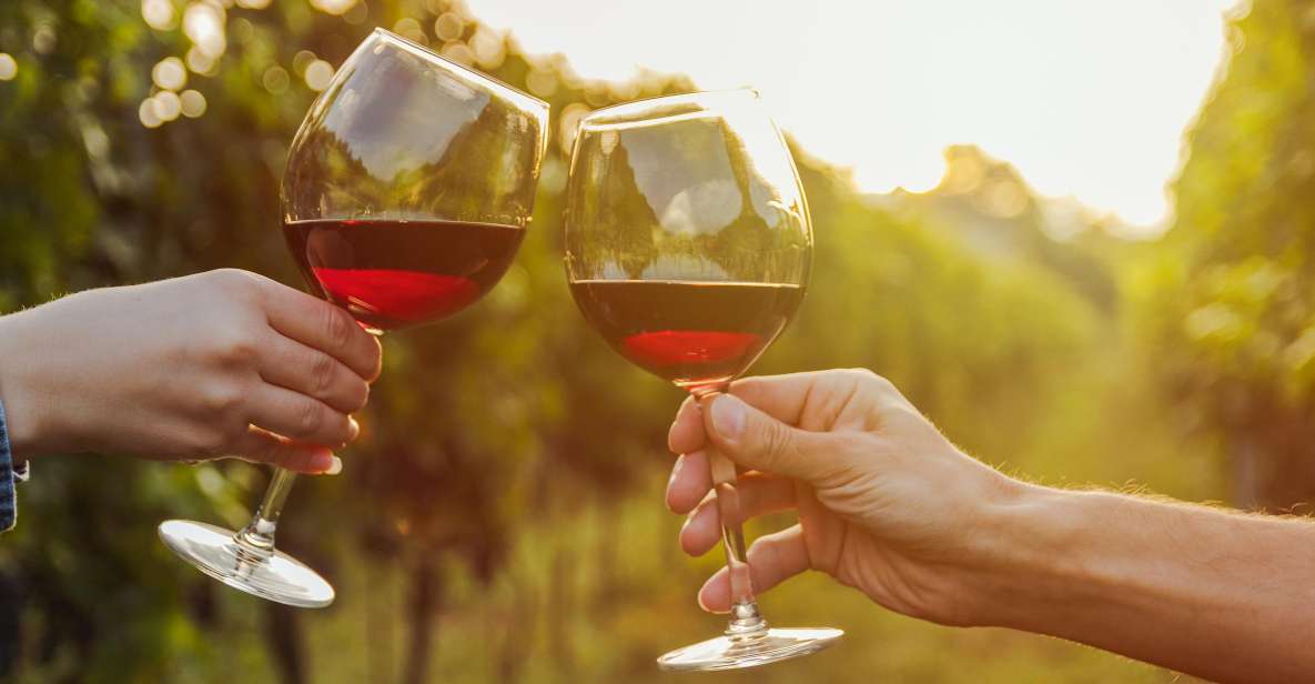 Fine Wining, Saturday - The Itinerary: A Carefully Curated Journey