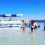 Fins Up - Dolphin & Island Sandbar Adventure in Clearwater Beach - Key Points
