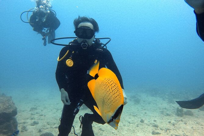 First Time Introductory Scuba Dive - The Experience in Detail