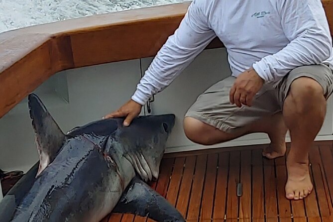 Fishing or Cruising Boston Harbor on Private Yacht Trinacria - Practical Details: Price, Duration, and Inclusivity