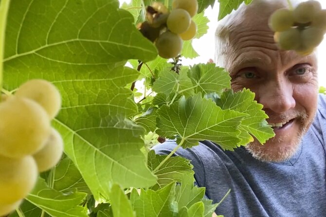 Five Star AZ Wine Crawler Tour 4- 12 PPL - The Sum Up