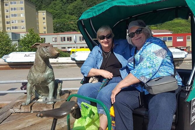 Five-Star Juneau Pedicab Private Tour - A Closer Look at the Experience