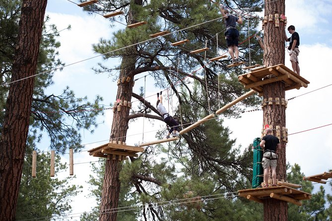 Flagstaff Extreme Adventure Course-Adult Course - Who Should Book This Adventure?