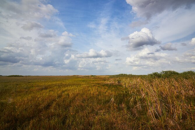 Flamingo Everglades Boat Tours - An authentic journey into the Everglades