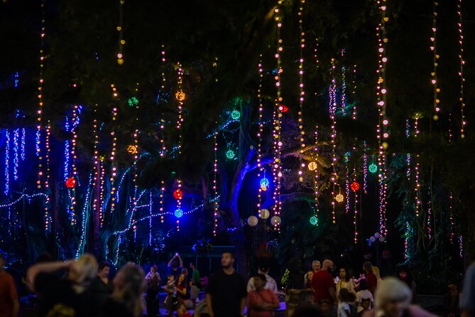 Flamingo Gardens' Garden of Lights - Key Points