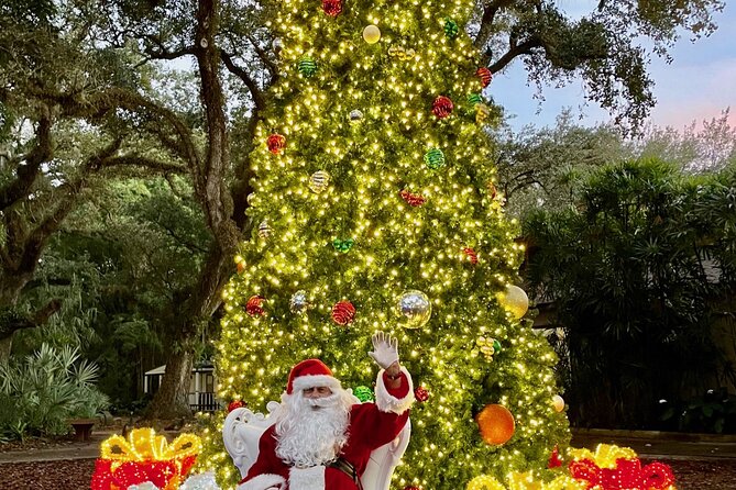 Flamingo Gardens' Garden of Lights - Practical Details & Tips
