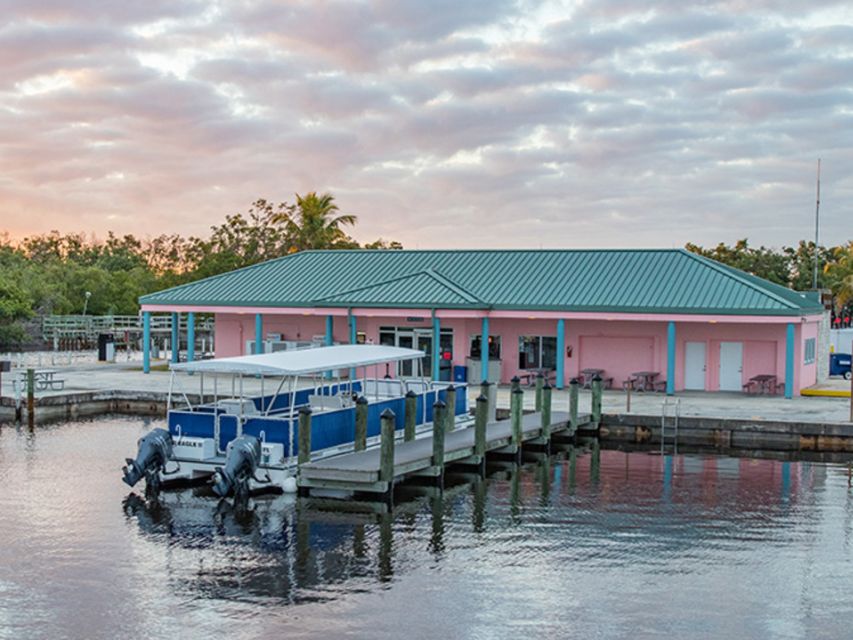 Flamingo Marina: Backcountry Boat Tour of the Everglades - Why You Should Consider This Tour