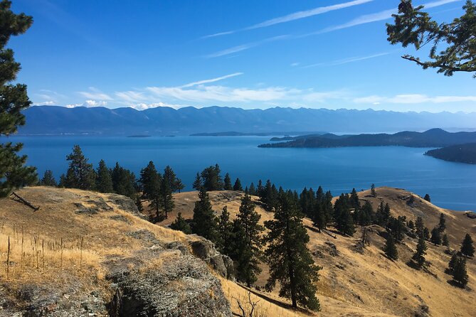 Flathead Lake Private Sunset Wild Horse Island Boat Tour - A detailed look at the experience