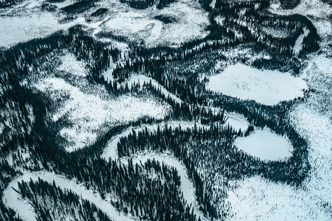 Flightseeing Day Trip from Fairbanks with Lunch - FAQ