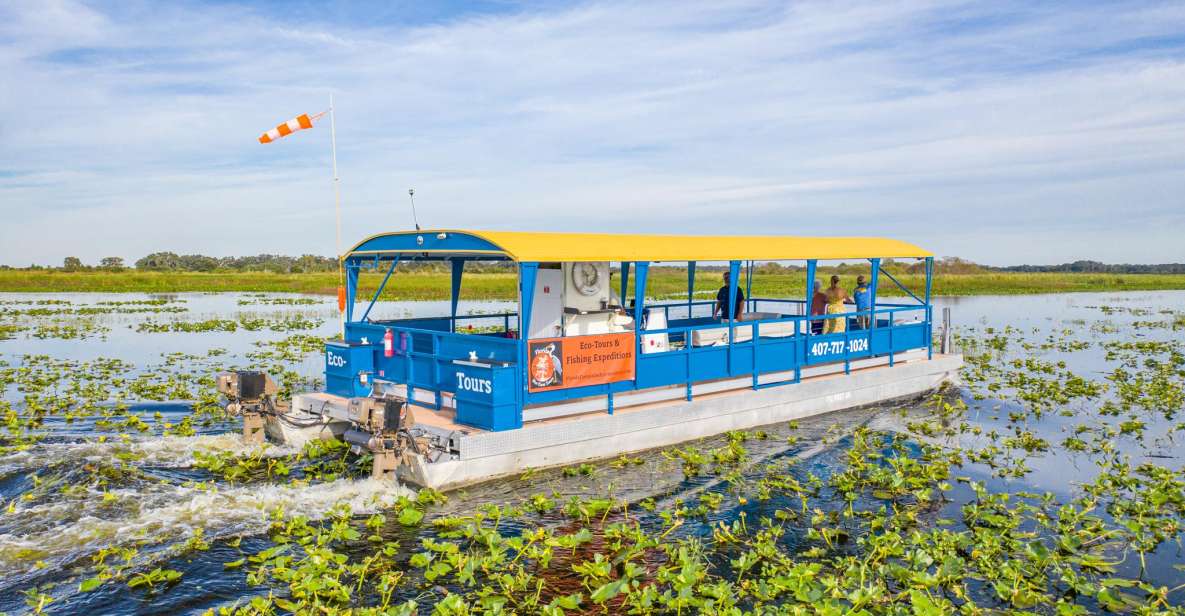 Florida: 90 Minute Everglades Cruise - Florida: 90 Minute Everglades Cruise – An Authentic Wildlife Encounter