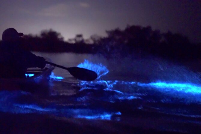 Florida Bioluminescence Clear Kayak tour/ Beacon 42 (Titusville) - Key Points