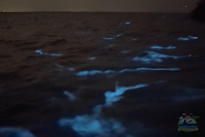 Florida Bioluminescence Clear Kayak tour/ Beacon 42 (Titusville) - A Closer Look at the Florida Bioluminescent Kayak Experience