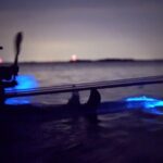Florida Bioluminescence Clear Kayak tour/ Beacon 42 (Titusville) - Who Is This Tour Best For?