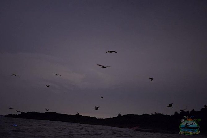 Florida Bioluminescence Clear Kayak tour/ Beacon 42 (Titusville) - Practical Details and Tips