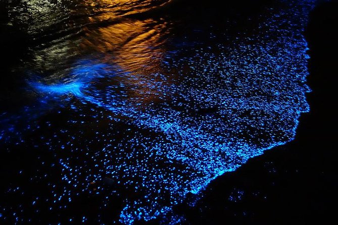 Florida Bioluminescence Kayaking Tour (Titusville) - In-Depth Experience Breakdown