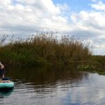 Florida Bioluminescent Kayak & Paddle Board Adventure - Who Will Love This Tour?