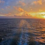 Florida: Emerald Coast Sunset & Dolphin Cruise with Guide - Who Will Enjoy This Tour?