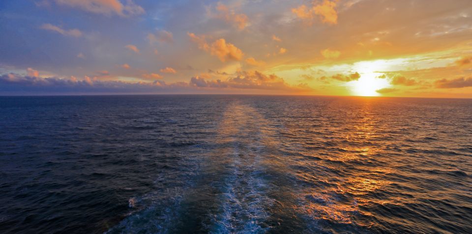 Florida: Emerald Coast Sunset & Dolphin Cruise with Guide - Who Will Enjoy This Tour?