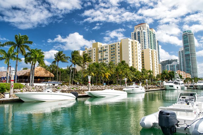 Florida Everglades Airboat Adventure plus Miami Biscayne Bay Cruise - Who Will Enjoy This Tour?