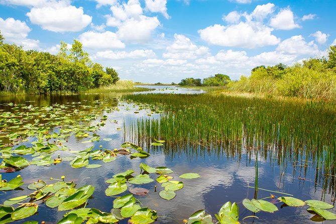 Florida Everglades Airboat Adventure plus Miami Biscayne Bay Cruise - Final Thoughts